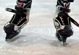 Online Shop & Retail Specialist Skate, Board & Scooter Shop